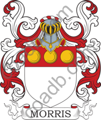 Morris Family Crest, Coat of Arms and Name History