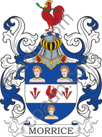 Morris Family Crest, Coat of Arms and Name History