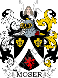 Moser Family Crest, Coat of Arms and Name History