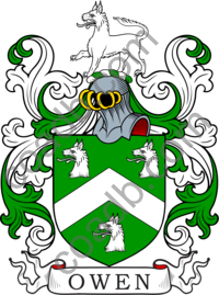 Owen Family Crest, Coat of Arms and Name History
