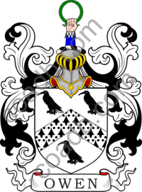 Owen Family Crest, Coat of Arms and Name History