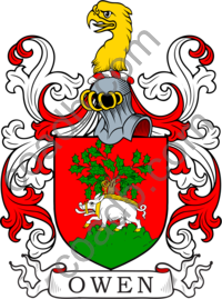 Owen Family Crest, Coat of Arms and Name History