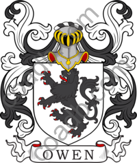 Owen Family Crest, Coat of Arms and Name History