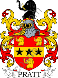 Pratt Family Crest, Coat of Arms and Name History