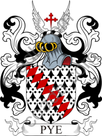 Pye Family Crest, Coat of Arms and Name History