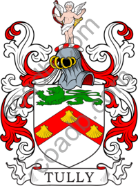 Tully Family Crest, Coat of Arms and Name History
