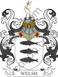 Welch Family Crest, Coat of Arms and Name History