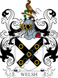 Welch Family Crest, Coat of Arms and Name History