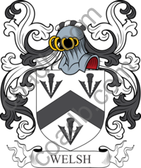 Welch Family Crest, Coat of Arms and Name History