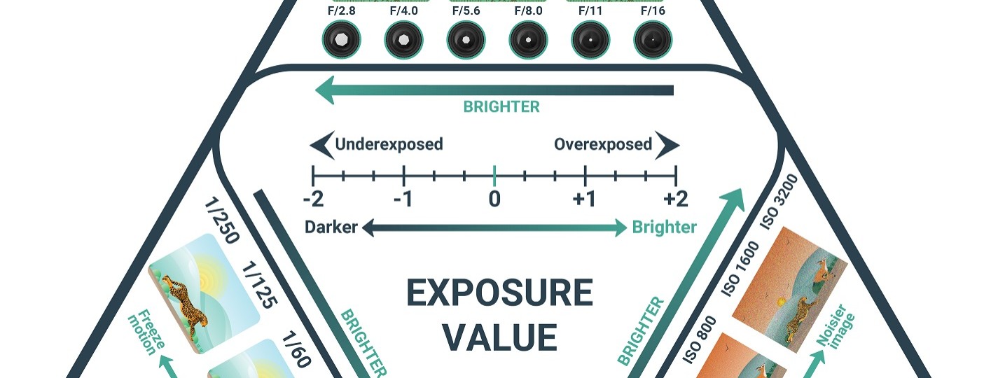 The exposure triangle in photography explained for beginners