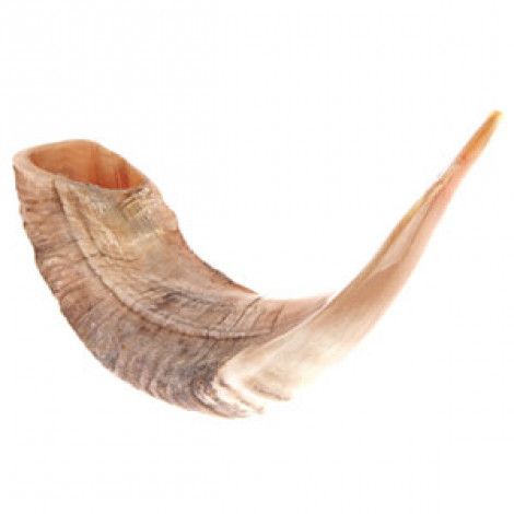 High Holidays - Yamim Nora'im | Eichlers