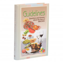 Guidelines: Questions and Answers About the Laws of Brochos | Eichlers