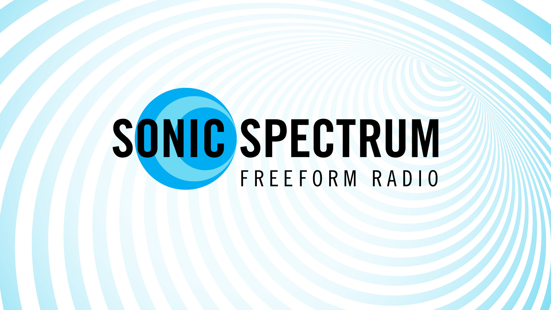 Celebrating 20 Years of Sonic Spectrum, Part One