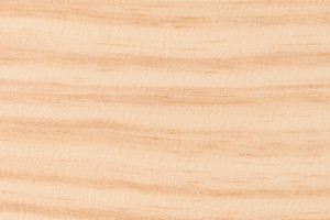 A Guide to Wood Species