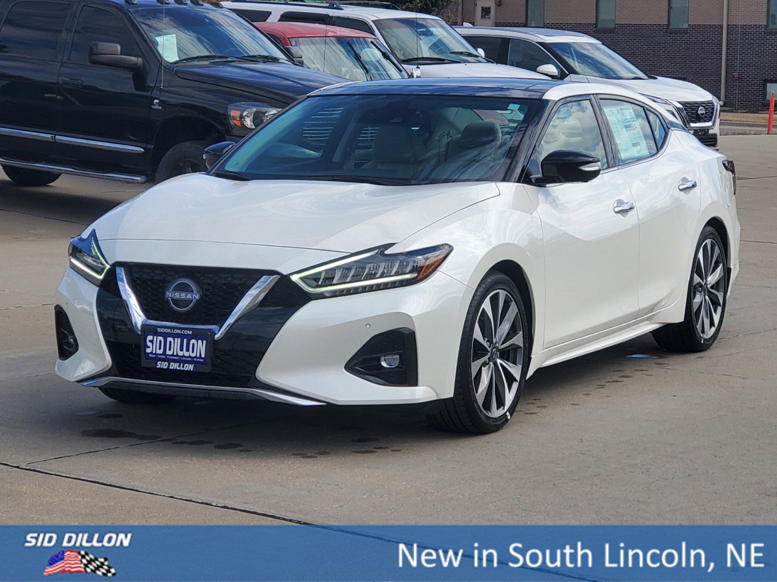 New 2023 Nissan Maxima Platinum 4 Door Sedan in Lincoln #4N23594 | Sid ...