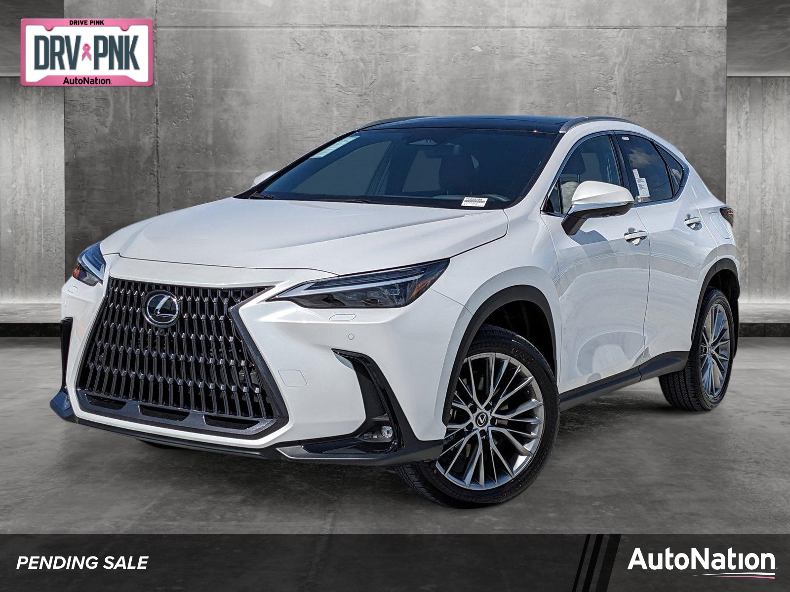New 2023 Lexus NX 350 Luxury AWD 5-DOOR SUV 4X4 in Tampa #PC029788 | Lexus of Tampa Bay