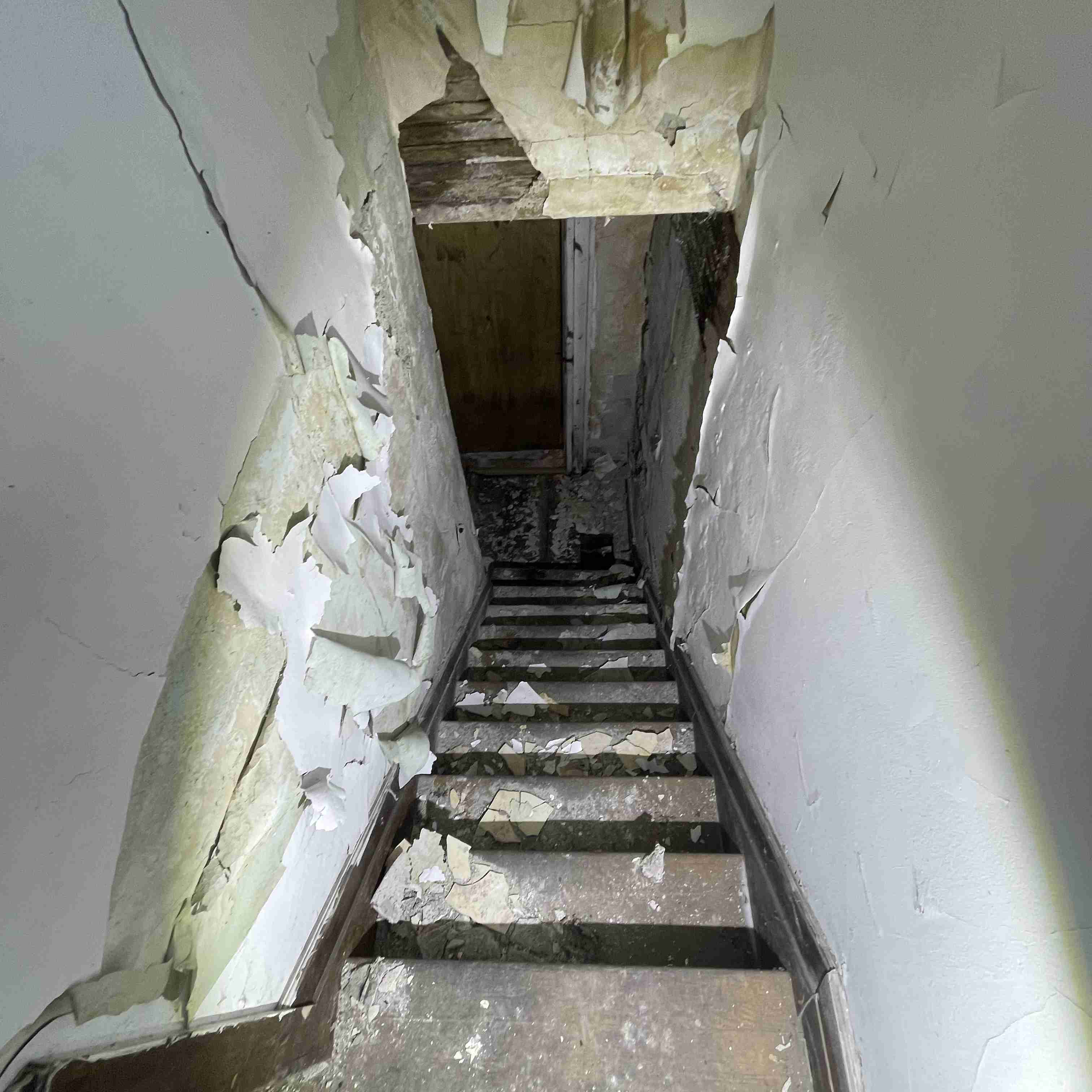 13346 Strathmoor (51).jpg