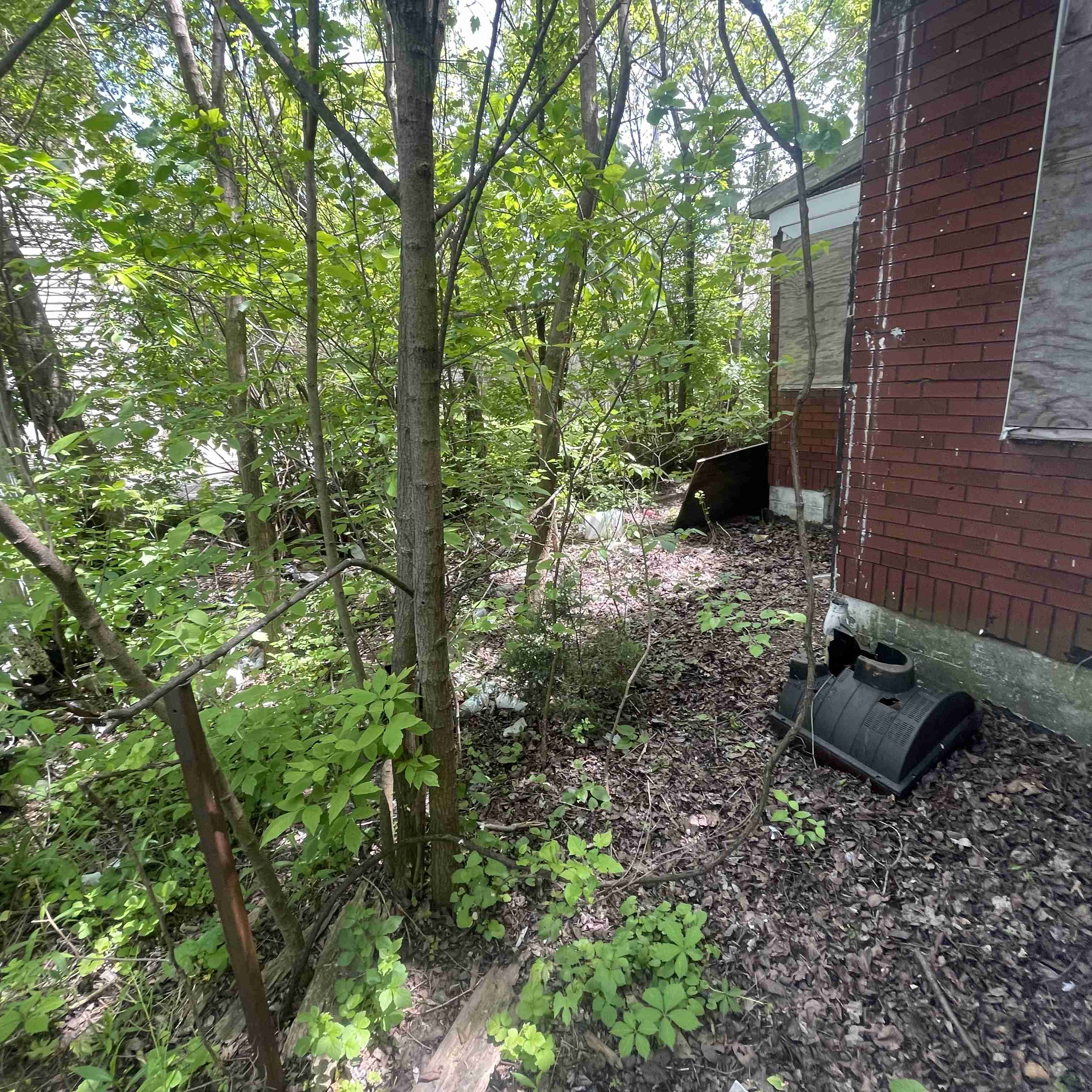 13136 August (14).jpg