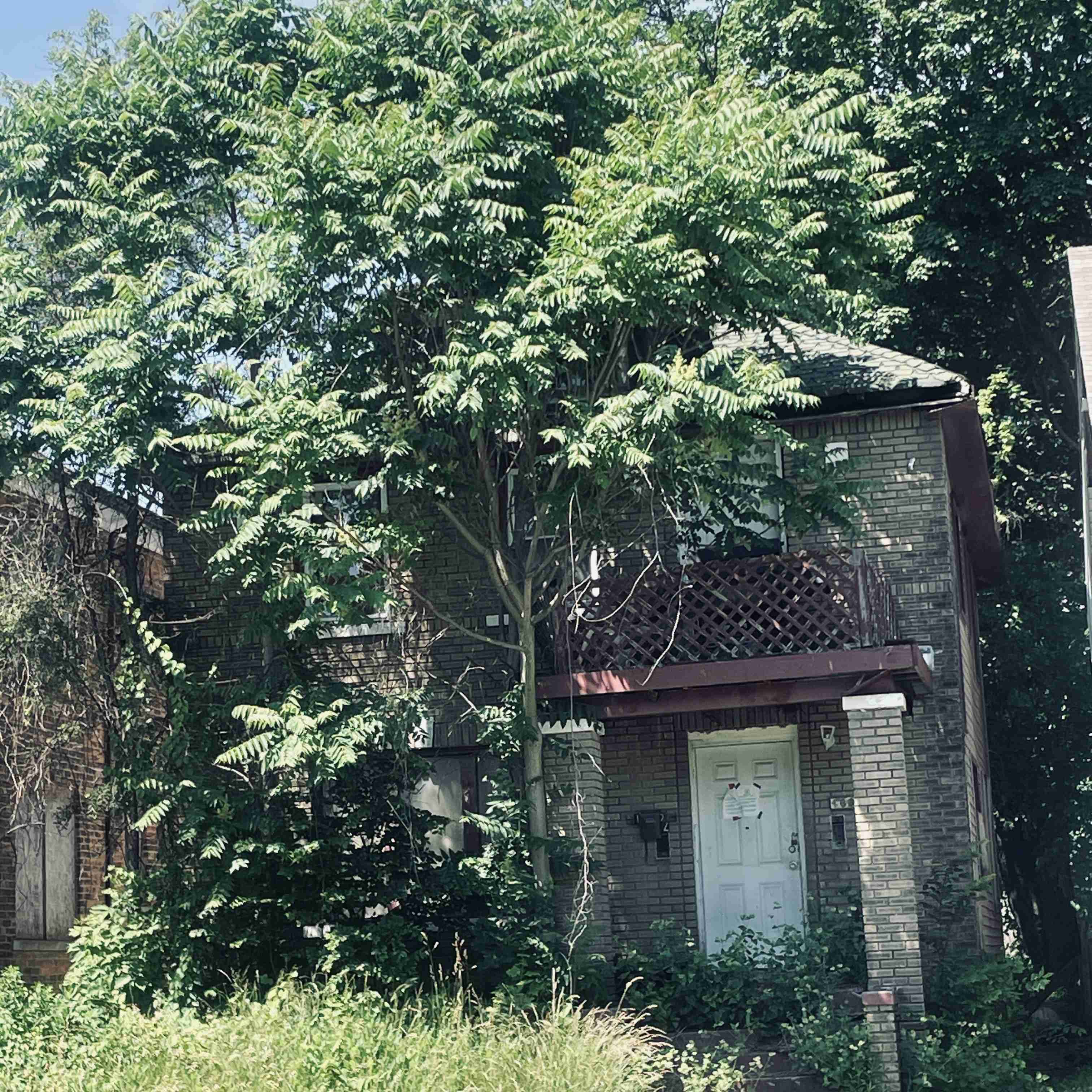 16309 Log Cabin (6).jpg