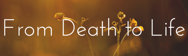 Sermon Series: From Death to Life | Christ Church NYC