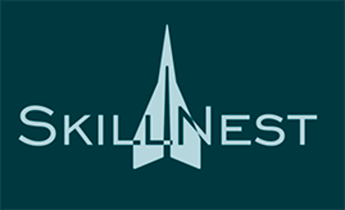 SkillNest Games: Developed or published