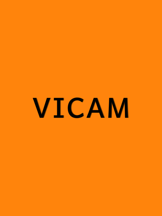 ViCam: All about ViCam