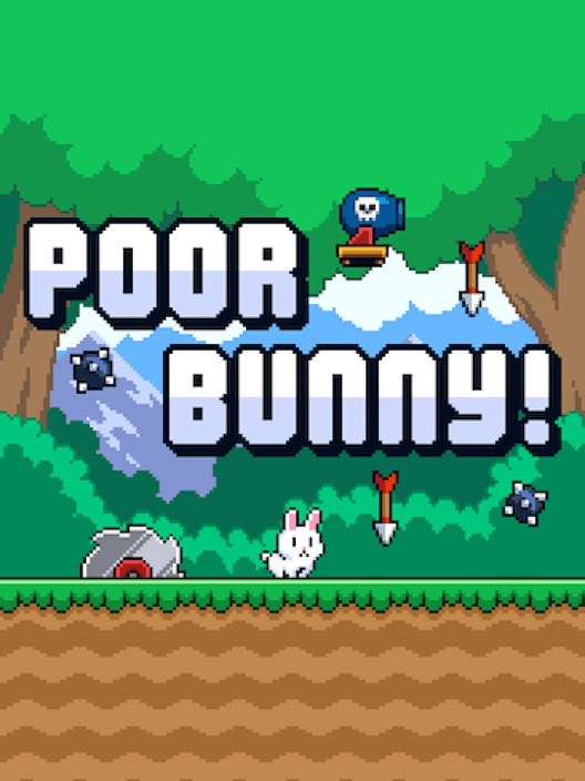 Poor Bunny!: All about Poor Bunny!