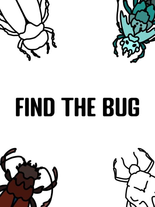 Find the Bug: All about Find the Bug