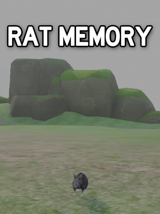 Rat Memory: All about Rat Memory