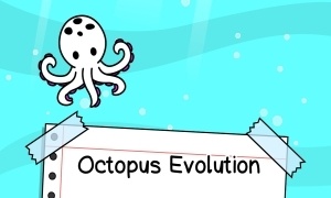 Octopus Evolution: All about Octopus Evolution