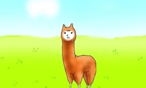 Alpaca Evolution: All about Alpaca Evolution