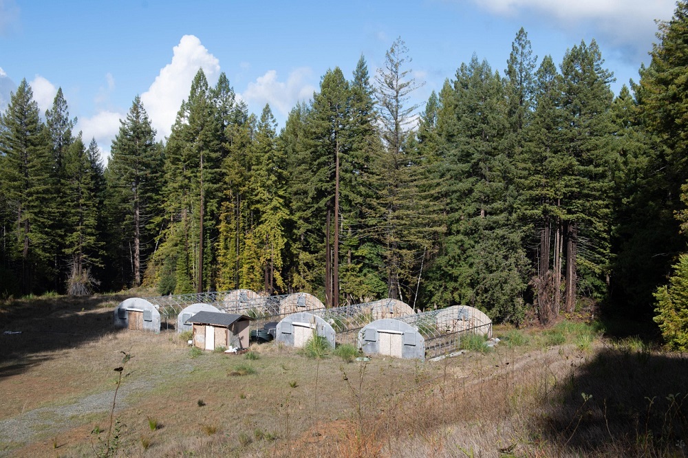 7 Stunning California Acreage Properties on the Market - Haven Lifestyles