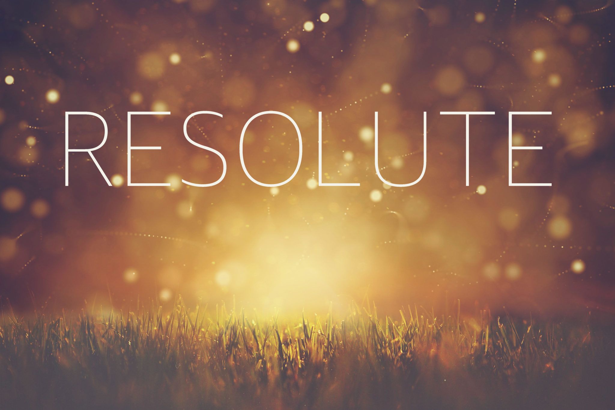 Sermons 4 | Higher Ground Church