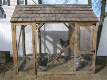 Designing a Chicken Coop: How to Build a Chicken Coop