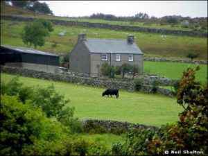 Nothing Simplifies Rural Life Like Fencing