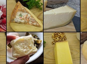 Cheesemaking Science for Beginners, Part One: Ingredient Basics