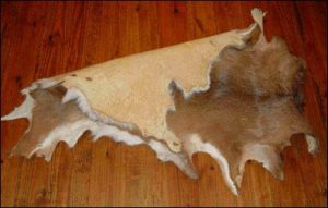 Tanning Skins and Hides on the Homestead - Homestead.org