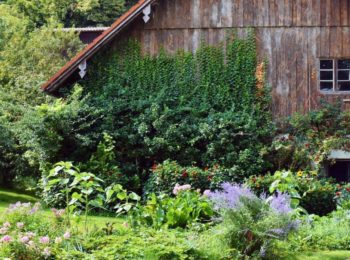 The Beginner’s Guide to Becoming a Homesteader - Homestead.org