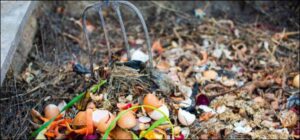 The Basics of Composting - Homestead.org Gardening