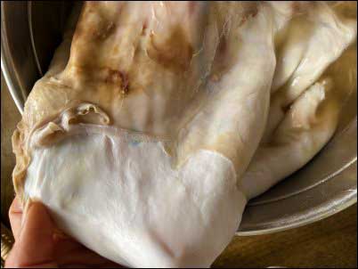 Learn Home Tanning: Transform Animal Hides with Skill - Homestead.org