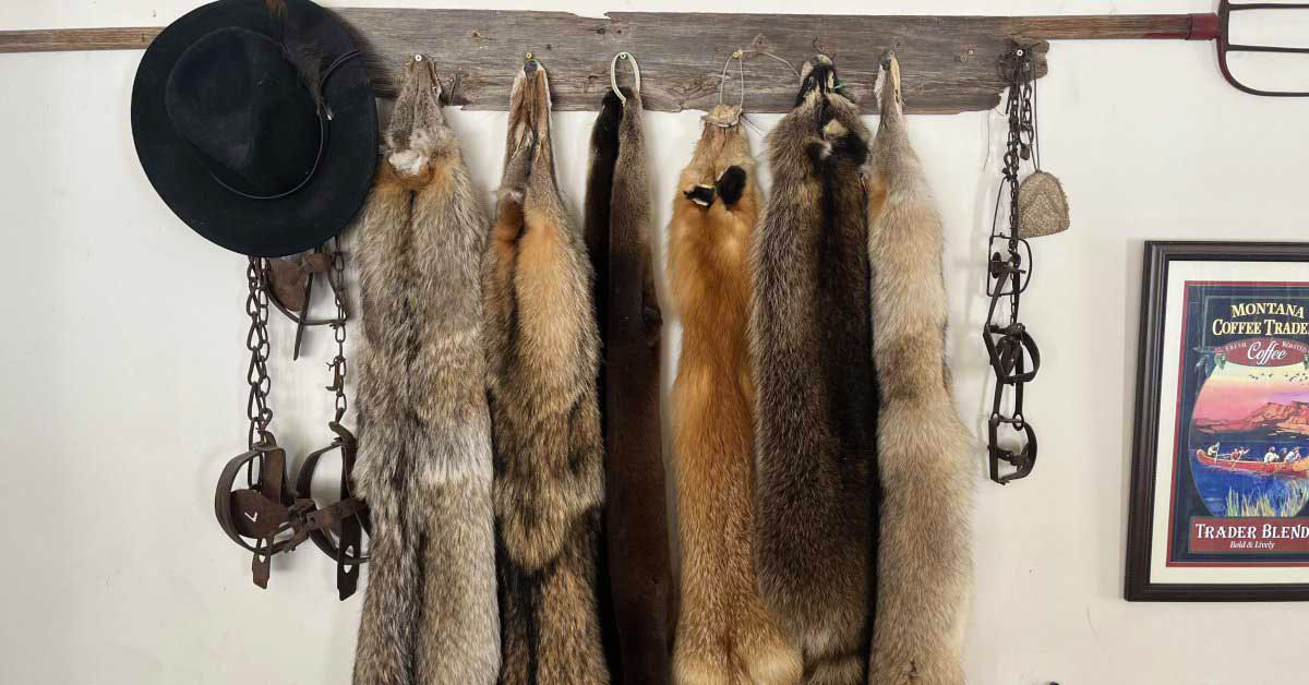 Learn Home Tanning: Transform Animal Hides with Skill - Homestead.org