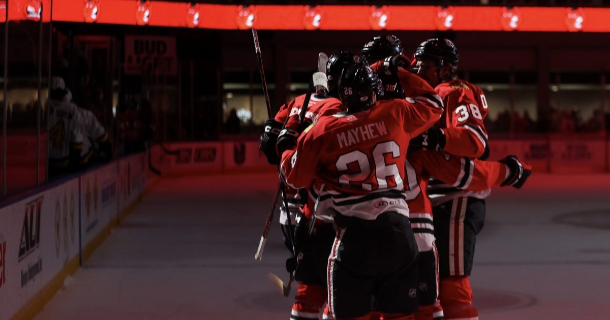 Rockford IceHogs | IceHogs Hunt the Wolves, Sweep First Round Series