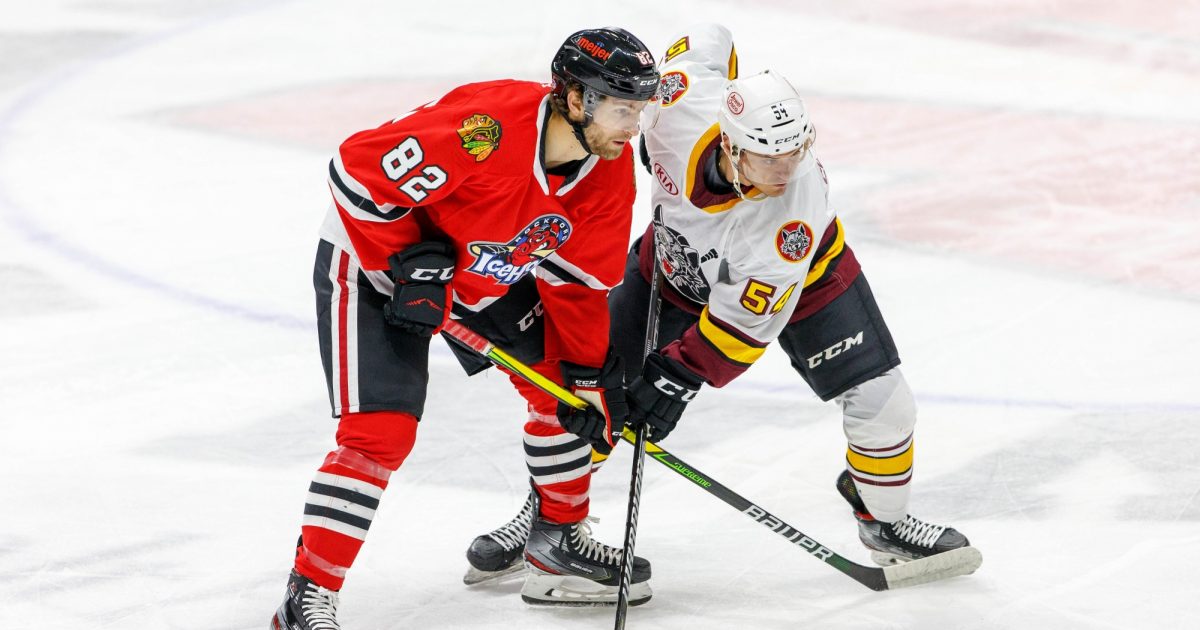 Rockford IceHogs | Rockford IceHogs Game at Chicago Tonight is…