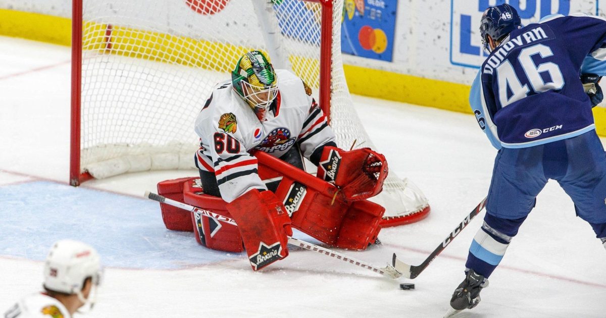 Rockford IceHogs | IceHogs Weekly: IceHogs Celebrate Holidays at…