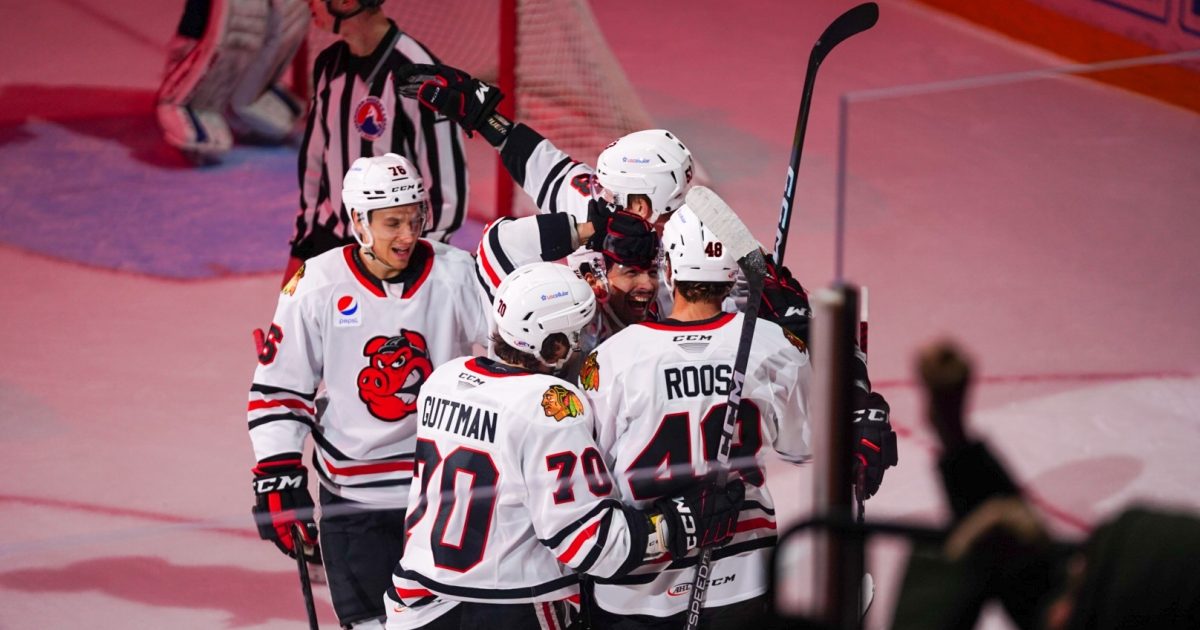 Rockford IceHogs | Hogs Tame The Wolf Pack With 3-2 Win