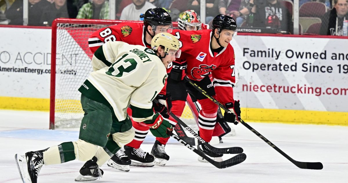 Rockford IceHogs | Hogs Grab Road Point, Fall To Wild In OT