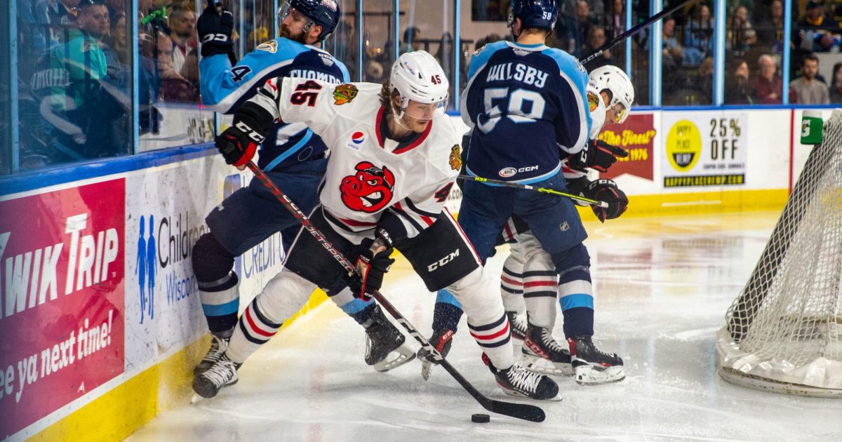 Rockford IceHogs | Kale Howarth Re-Enlists with IceHogs for 2023-24