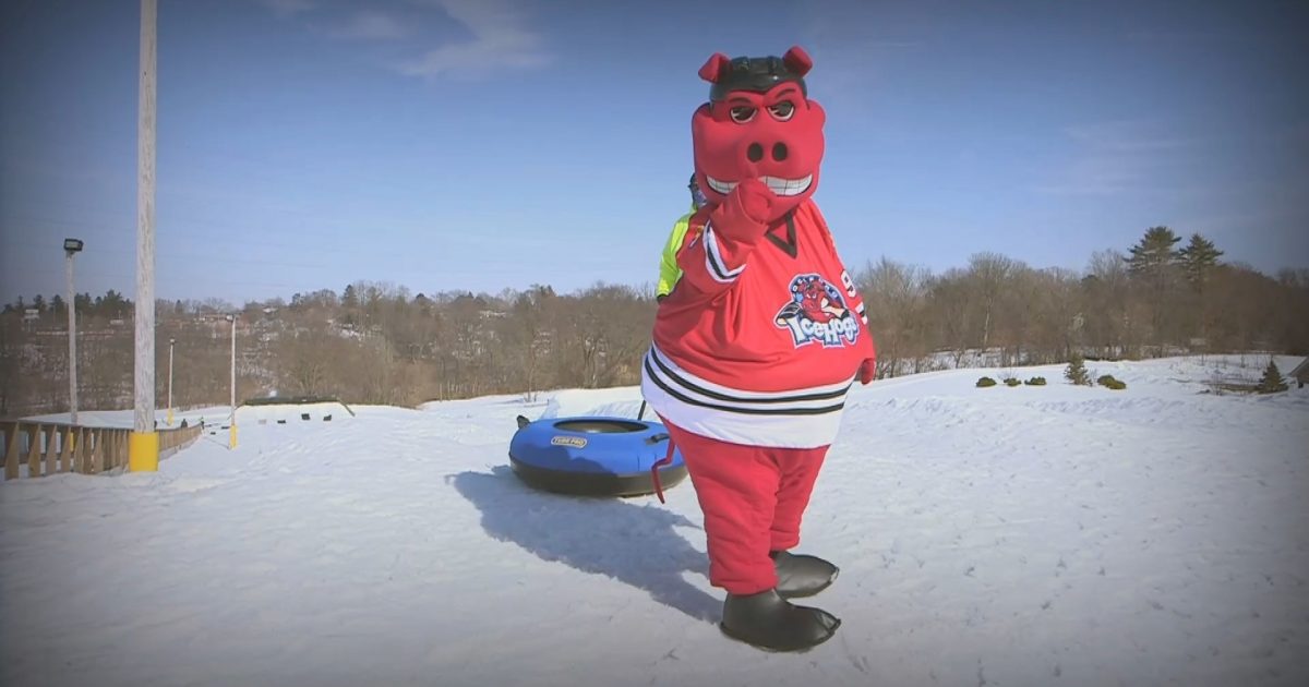 Rockford IceHogs | Hammy Challenges You to #BeBoldGetCold for the…