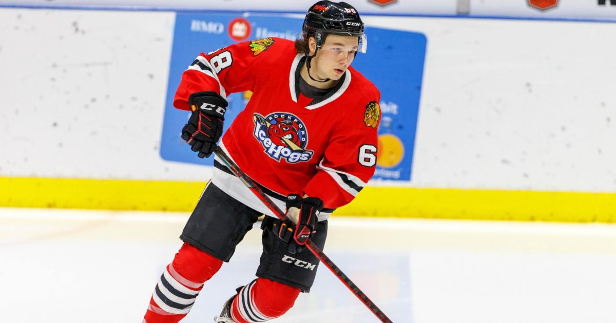 Rockford IceHogs | IceHogs Add Physicality; Re-Sign Forward Riley…