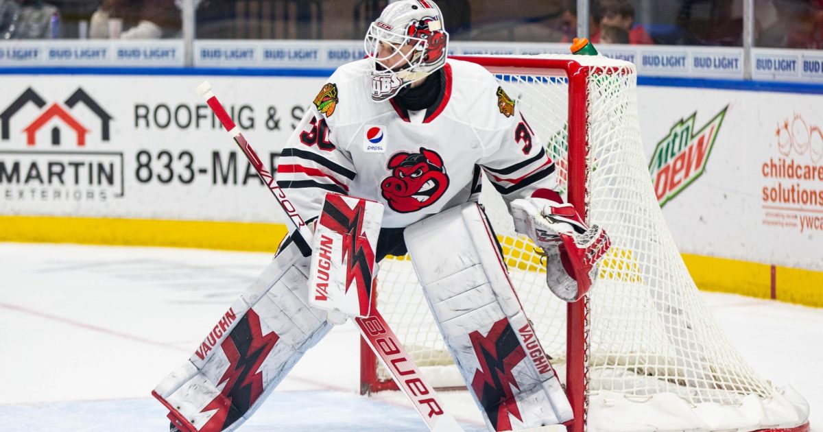 Rockford IceHogs | Stauber Assigned to Rockford